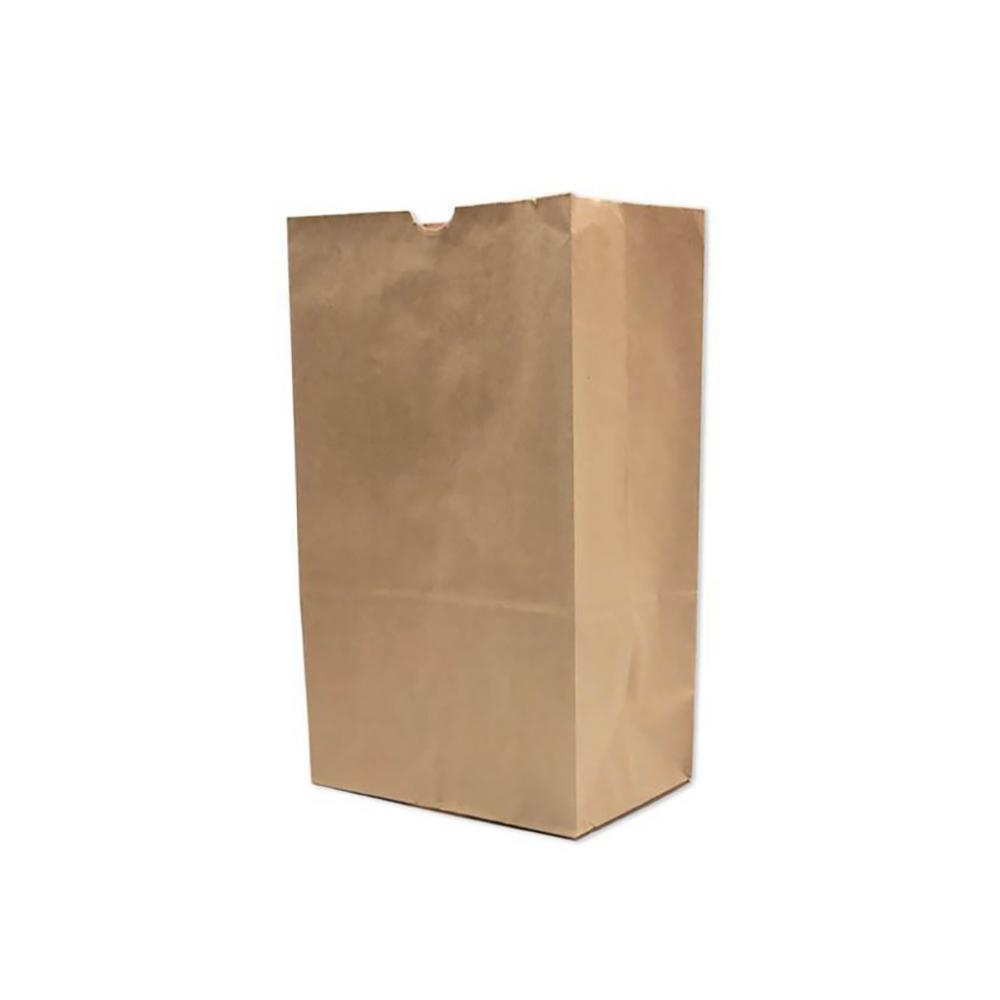 HD-9616 | 100% Recycled Kraft Paper Bag With No Handle | 9.75x6x16 ...