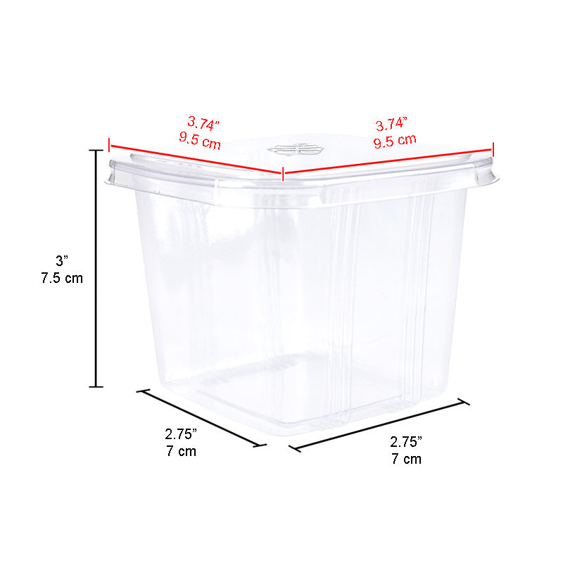 12oz Take Out Square Clear Plastic Mousse Box W/ Lid - 200 Sets – HD ...